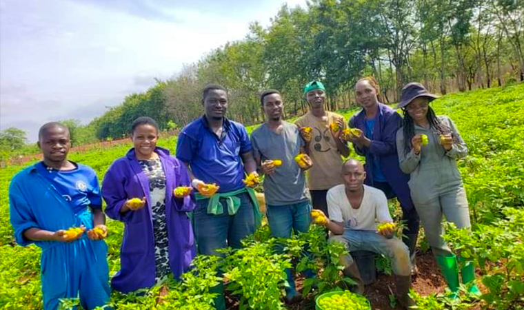 Home || Kilimo Lengo|| Agriculture and Engineering Services